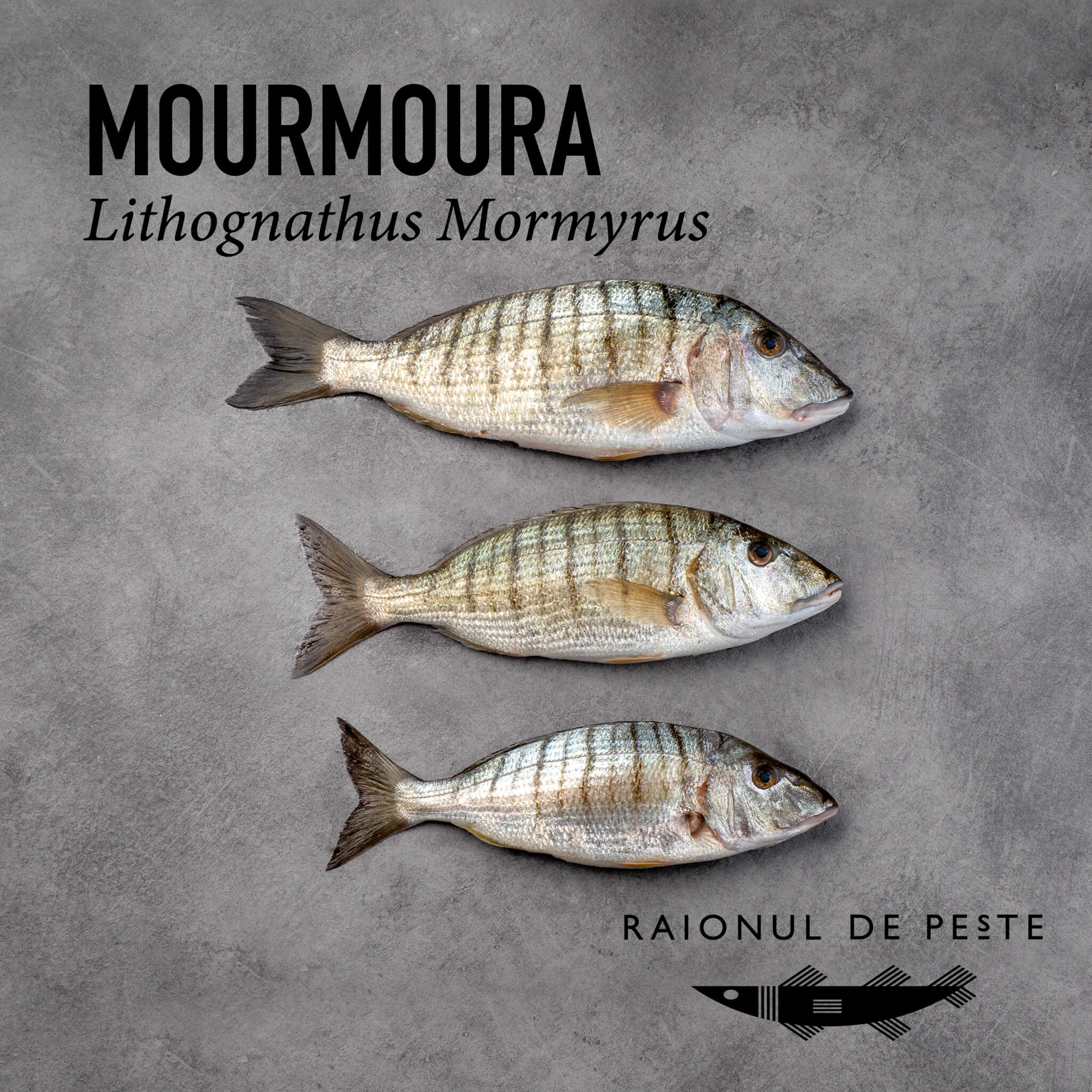 MENIU RDP DOROBANTI - Raionul De Peste