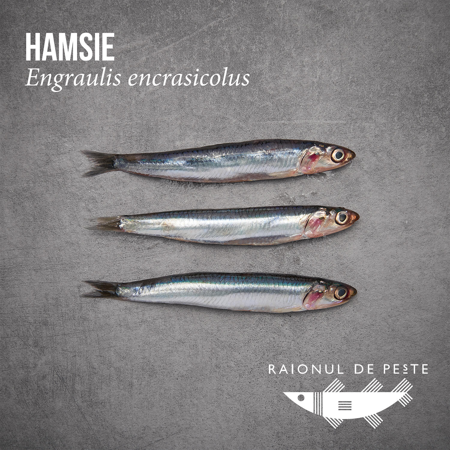 CUMPĂRĂ ONLINE - Raionul De Peste