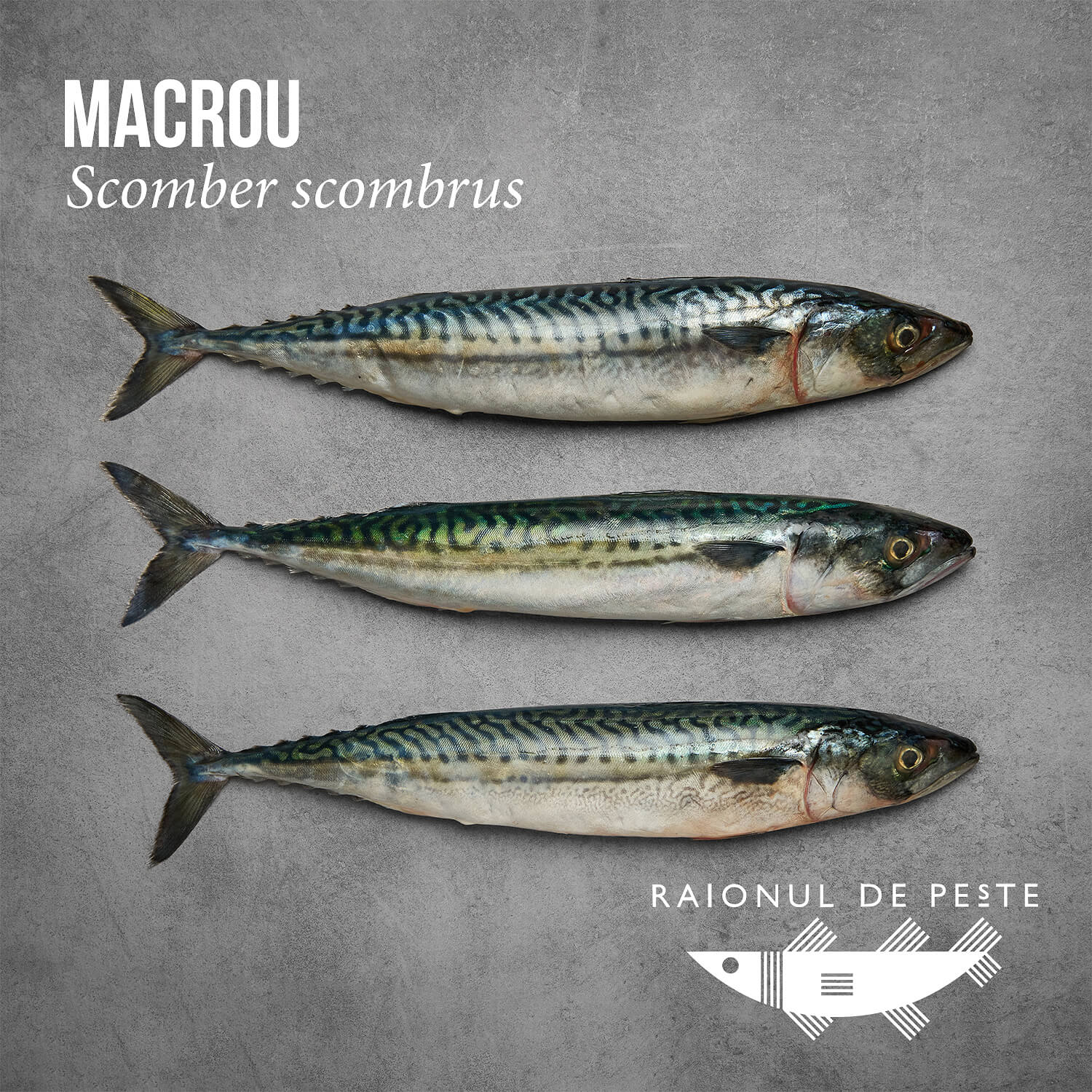 CUMPĂRĂ ONLINE - Raionul De Peste